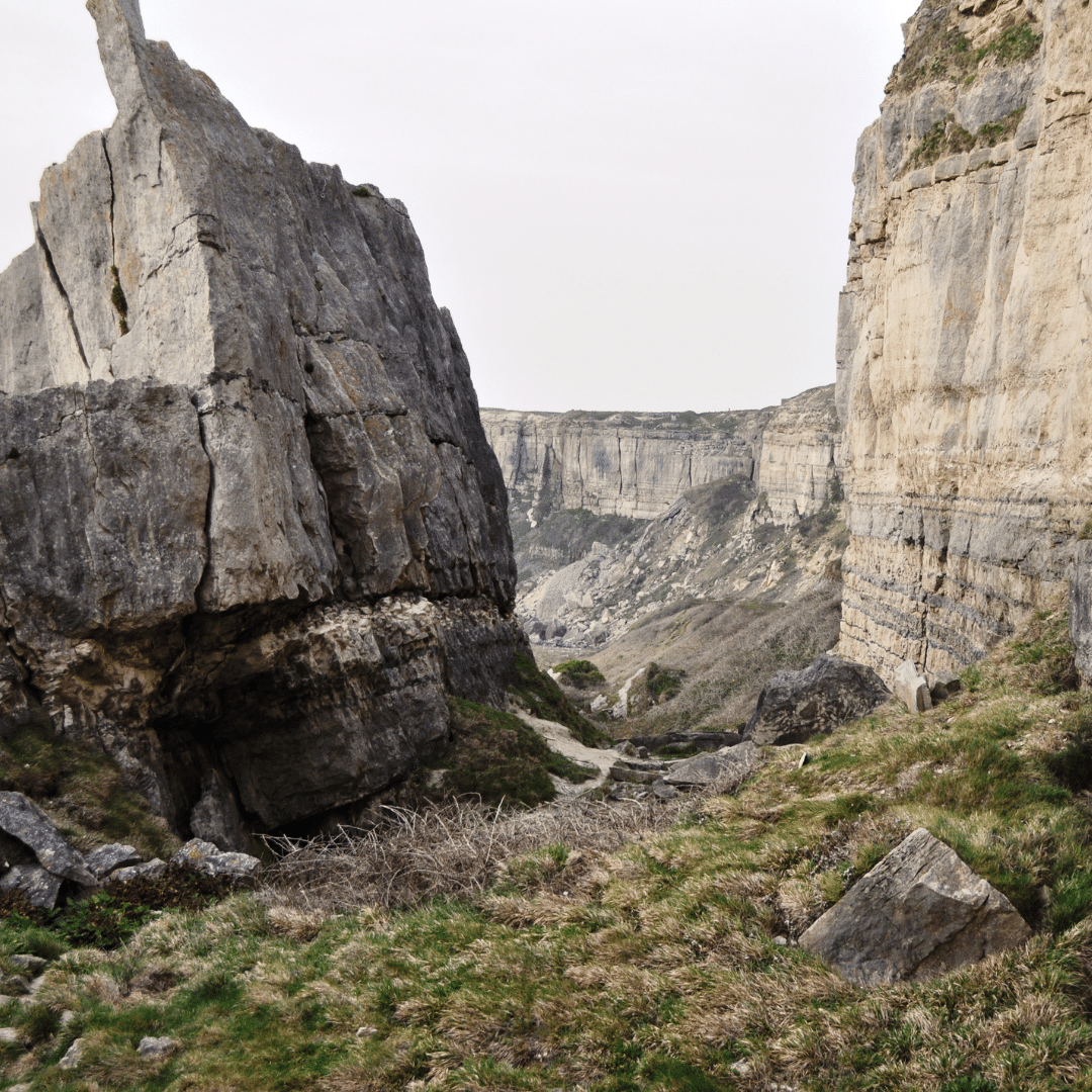 The Hidden Steps, Portland – Fountain Rock Coffee Roasters